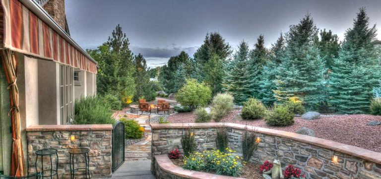 5 Best Trees for Residential Landscaping in Colorado Springs